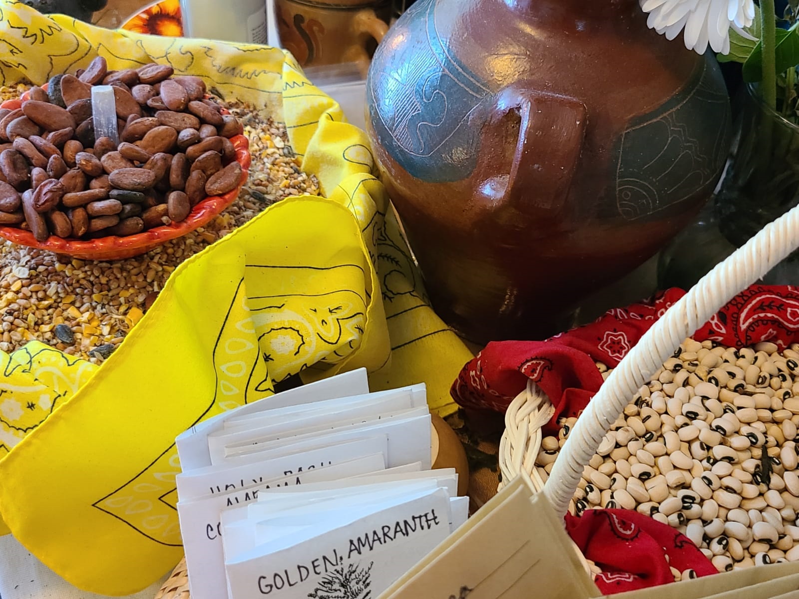Seed Prayer – Bohio Cibanani