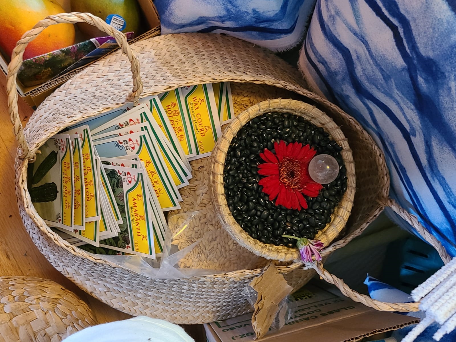 Seed Prayer – Bohio Cibanani