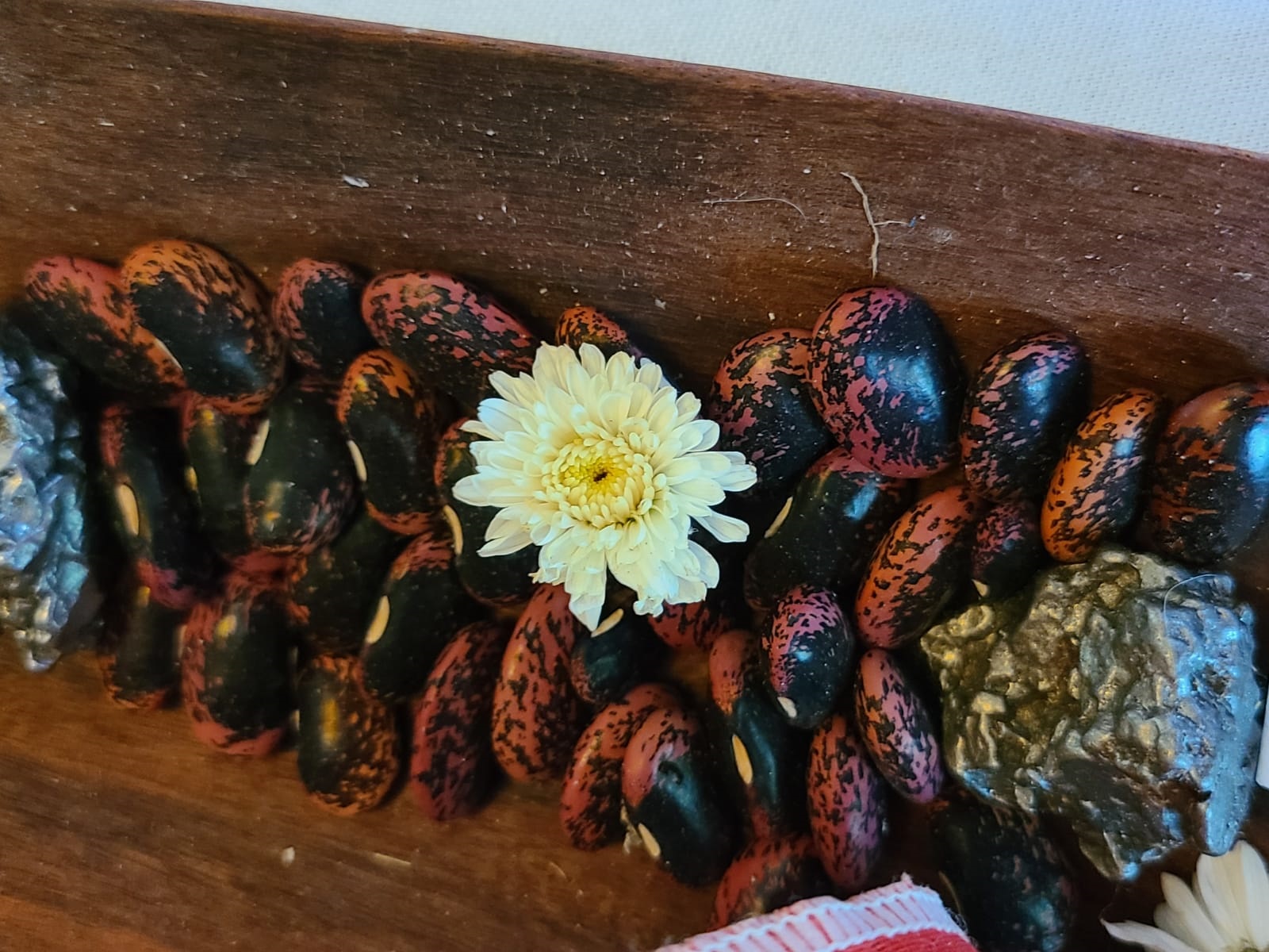 Seed Prayer – Bohio Cibanani